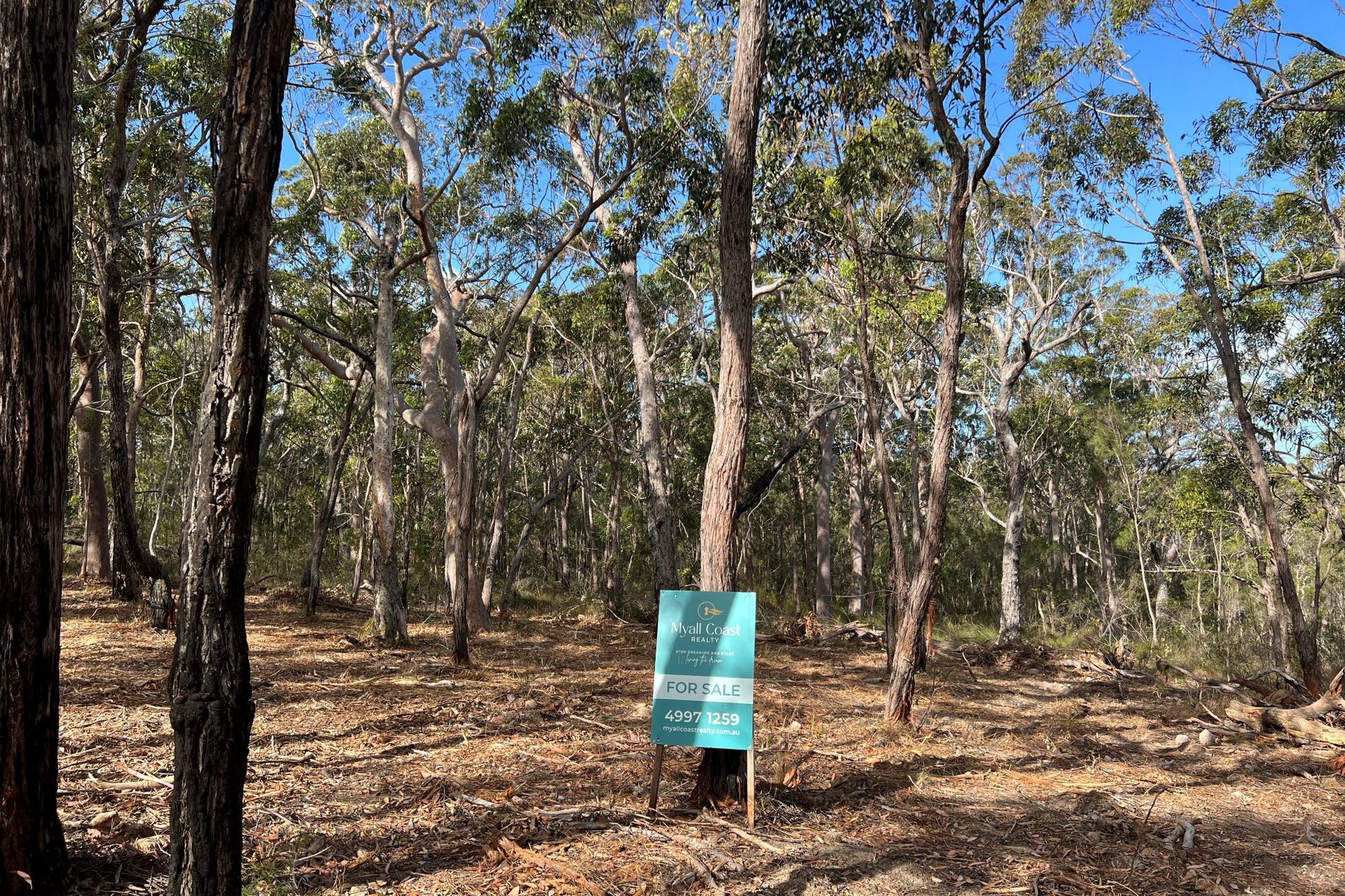 Carrington Avenue, Pindimar NSW 2324 - Myall Coast Realty